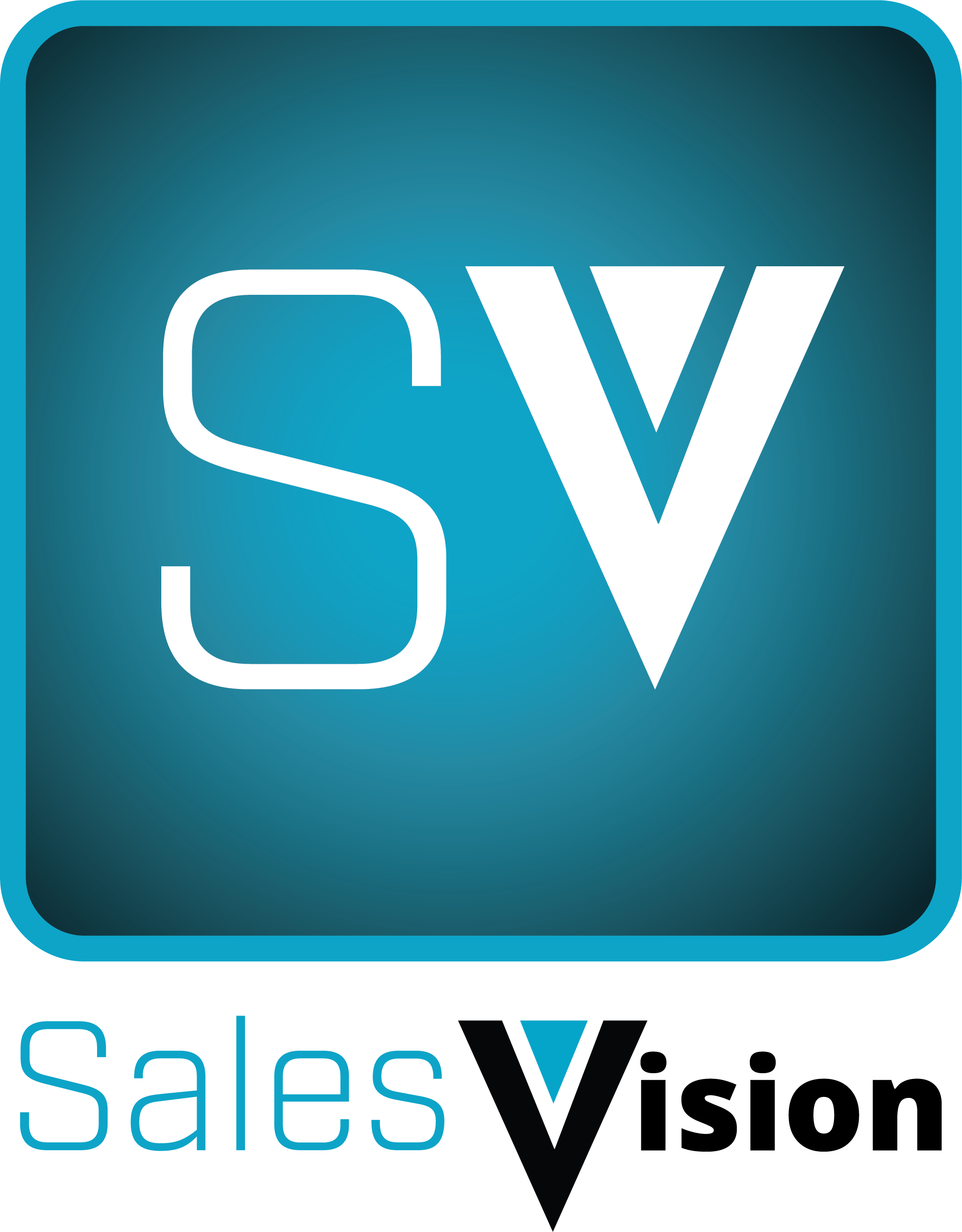 VisionAST - DealerVendorMatch.com